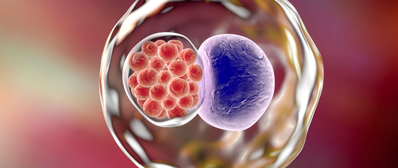 Clamídia - Dra. Elis Nogueira